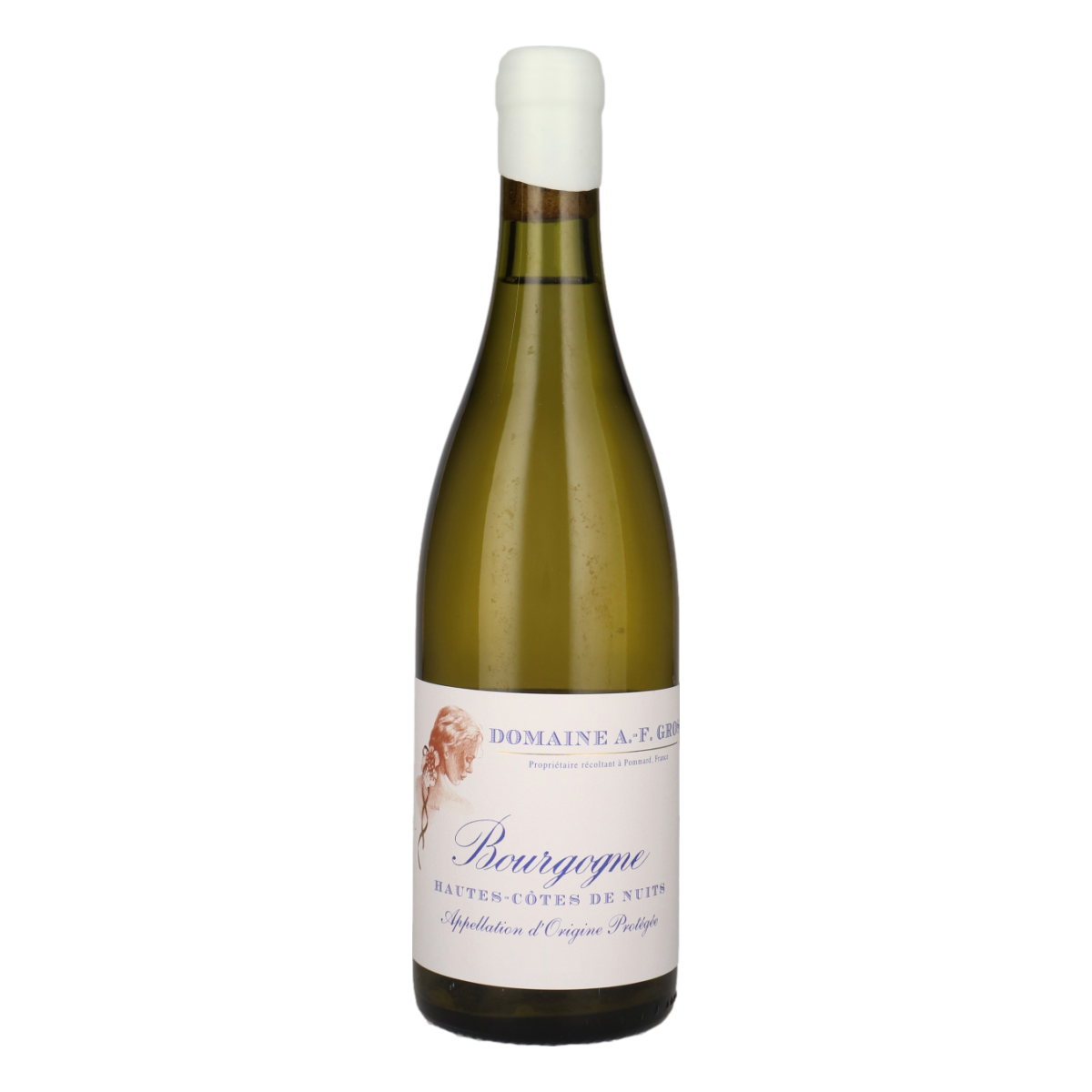 Domaine A.F. Gros Bourgogne Hautes Cotes de Nuits Blanc 2021 | 8Wines