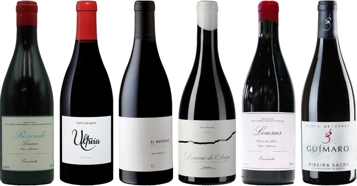 The Emergence of Mencia Wines